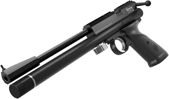 Crosman Silhouette Regulated or Unregulated 1701P PCP-Powered Match Gr ...