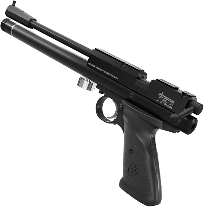 Crosman Silhouette Regulated or Unregulated 1701P PCP-Powered Match Gr ...